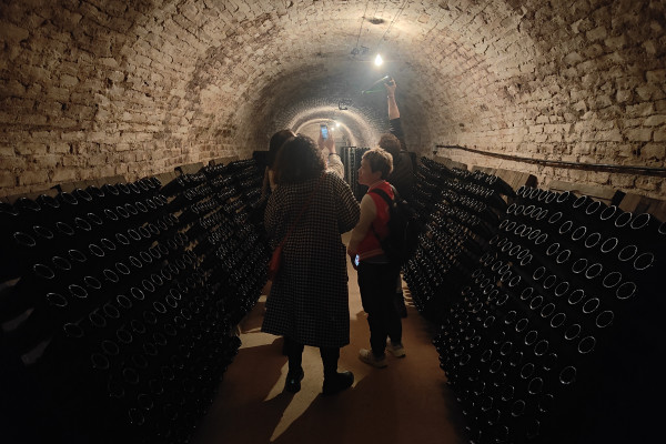 Visite de cave et balade dégustation dans le vignoble - Reims Tourisme